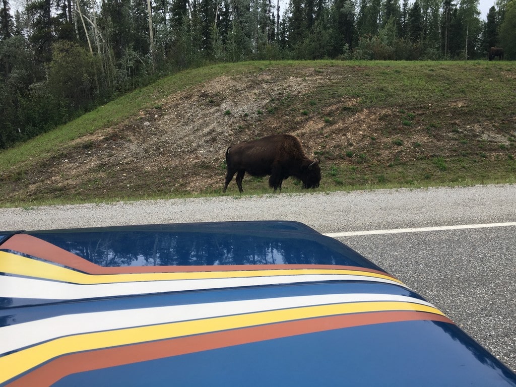 Courtney Barber Sets Her Sights for the Top of the World – RacingJunk News